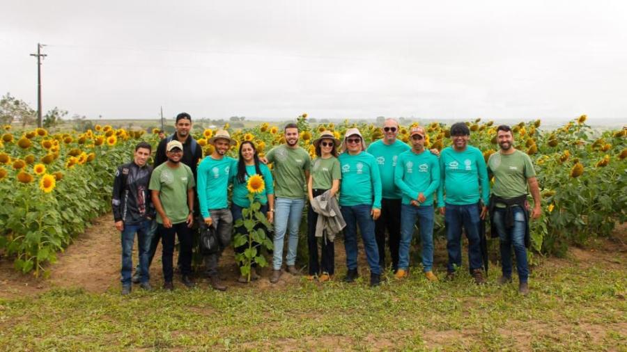 UFAPE, Prefeitura de São João e Embrapa promovem dia de campo para ...
